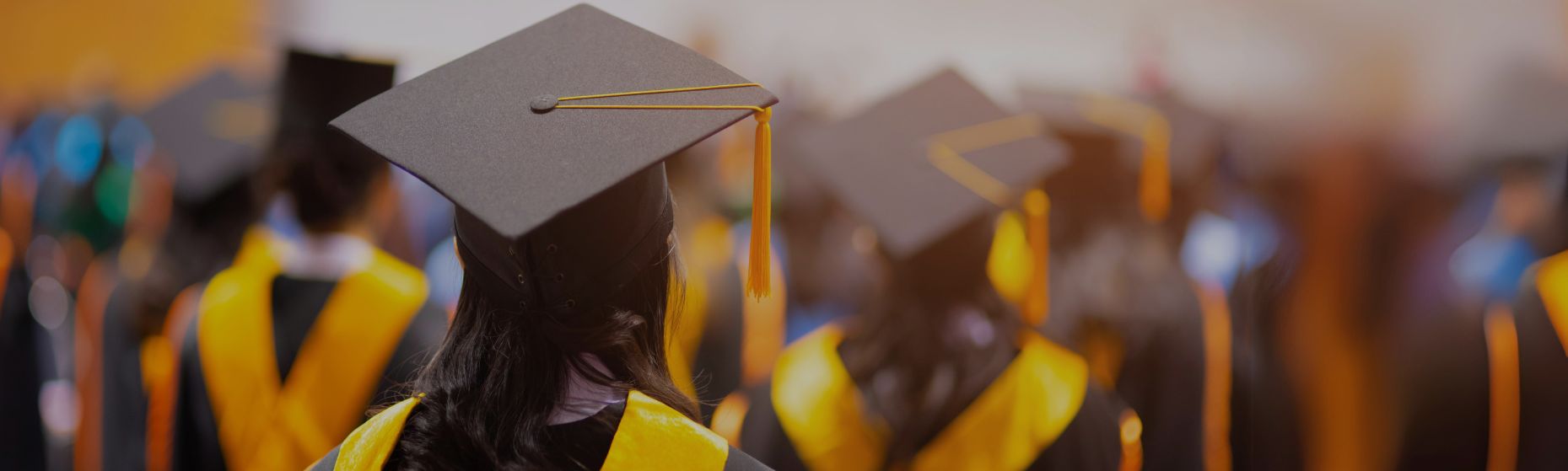 Estudios en línea de Alta Calidad Educativa | UNADE - Universidad Americana de Europa